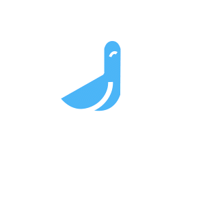 Seagull
